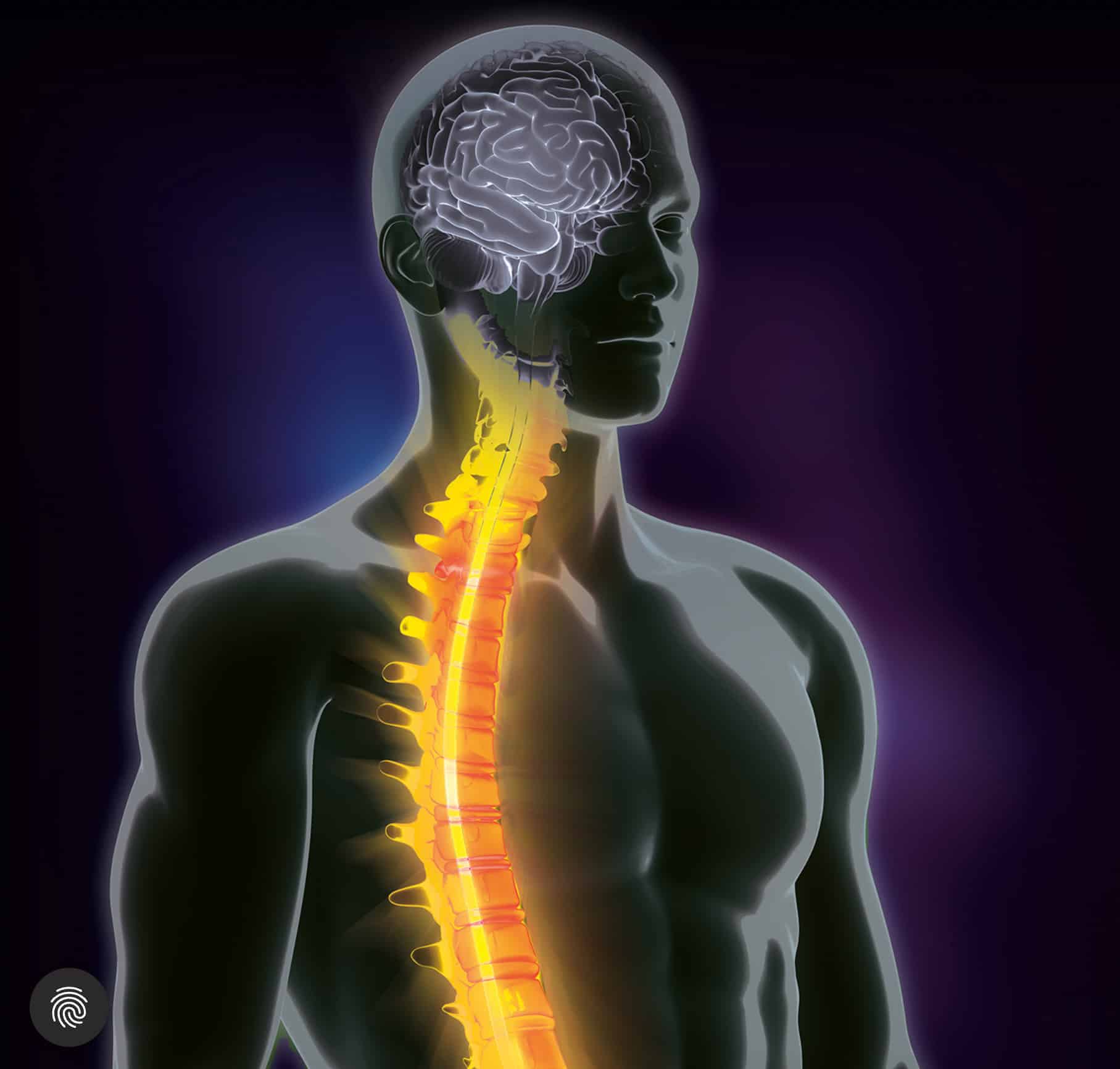 Spine Surgery – Axiom Devices
